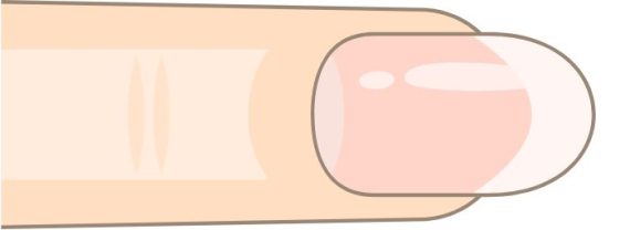 Everything You Need to Know About Nail Shapes | Polish and Pearls